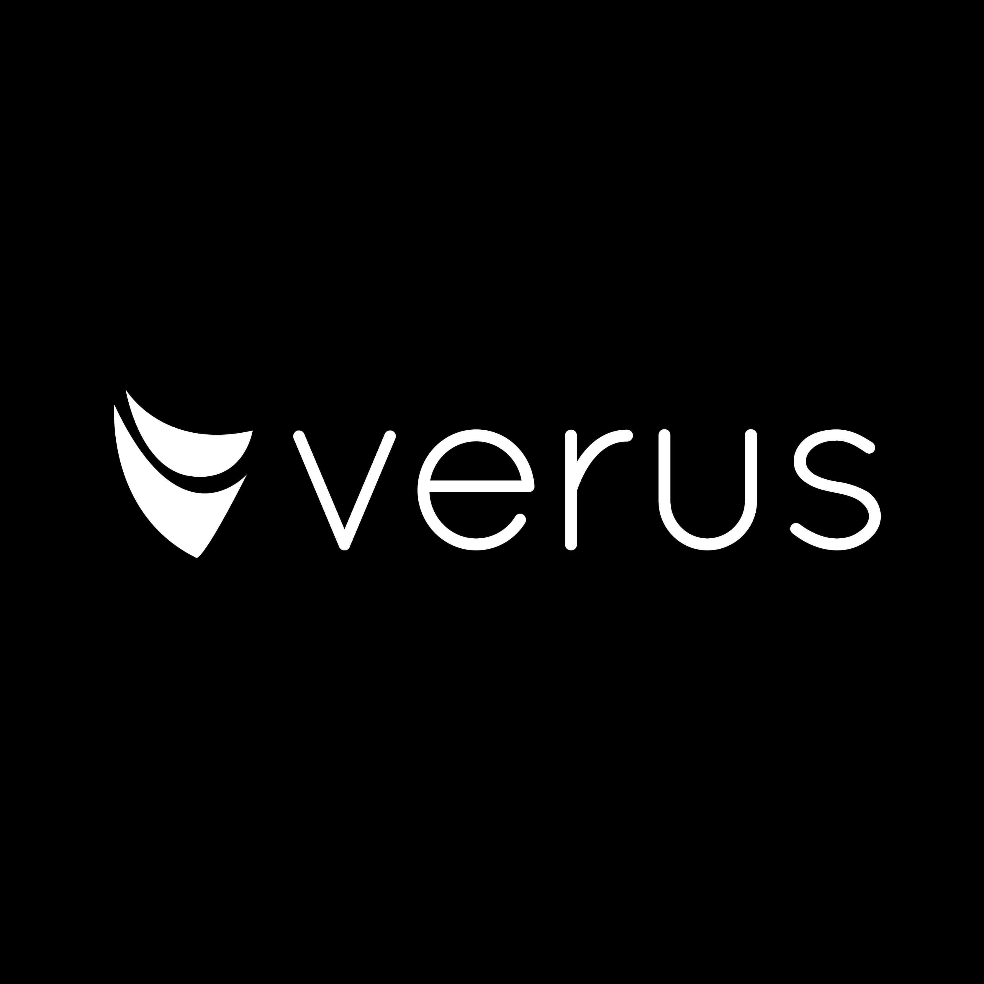 Verus—Logo - Blick Creative
