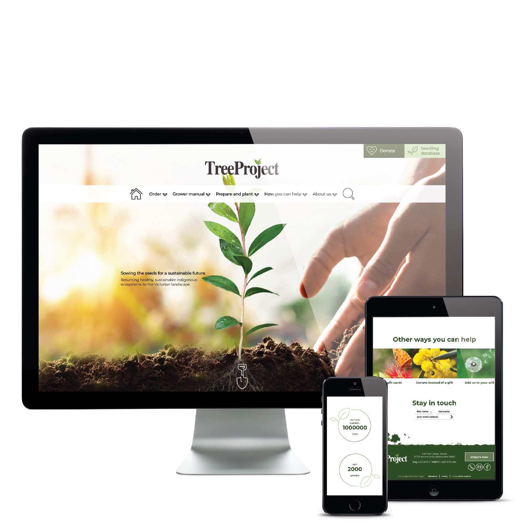 Tree Project—Website - Blick Creative