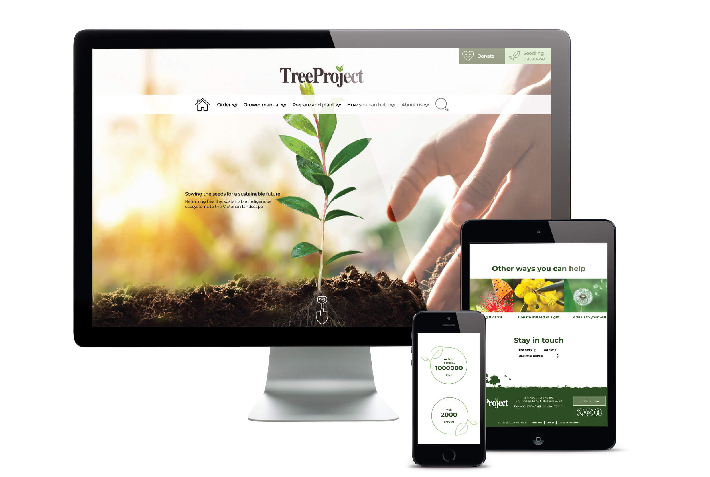 Tree Project—Website - Blick Creative