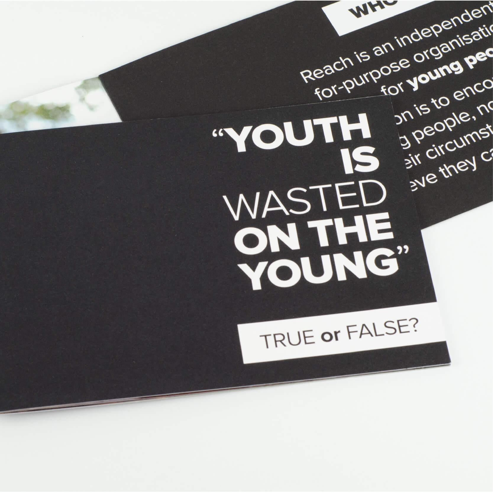 "Youth is wasted on the young" True or False? — Brochure - Blick Creative